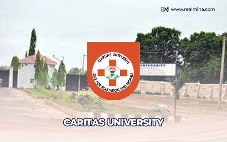 CAU Admission Form 2025/2026 | Requirements and Procedures