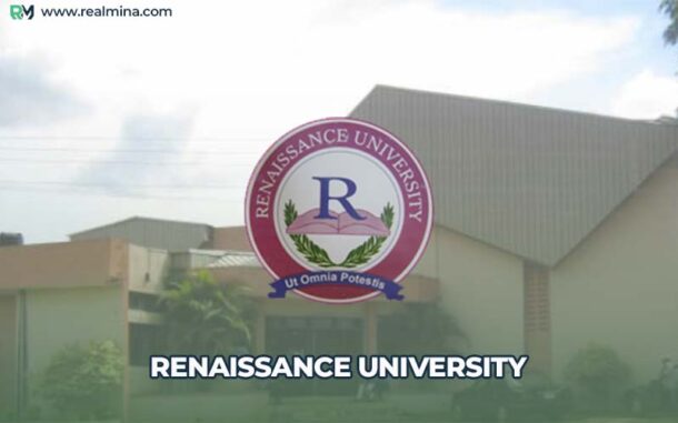 Official List of Courses Offered in Renaissance University 2025/2026 - Acadanow