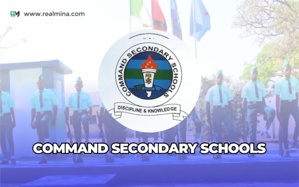 Command Secondary Schools Common Entrance Exam Results - Acadanow